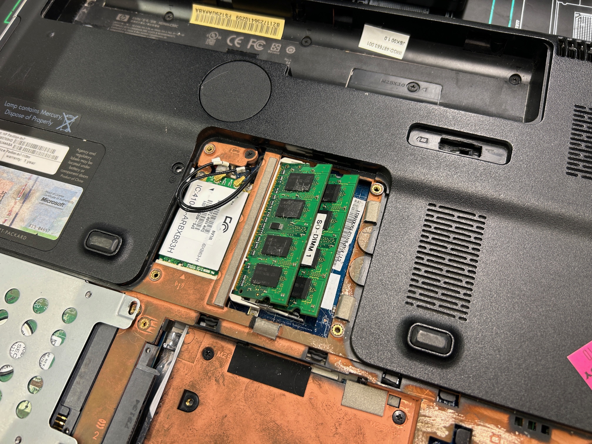 Colton Gurr - Resume